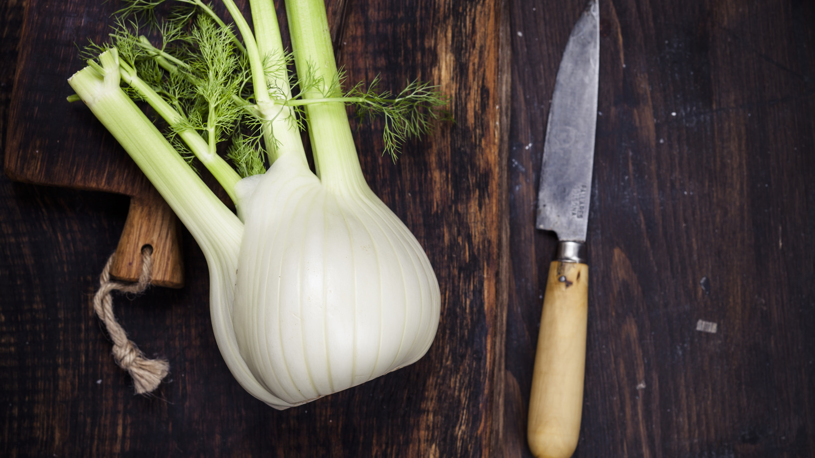 What Makes Fennel Such A Great Substitute For Onions?