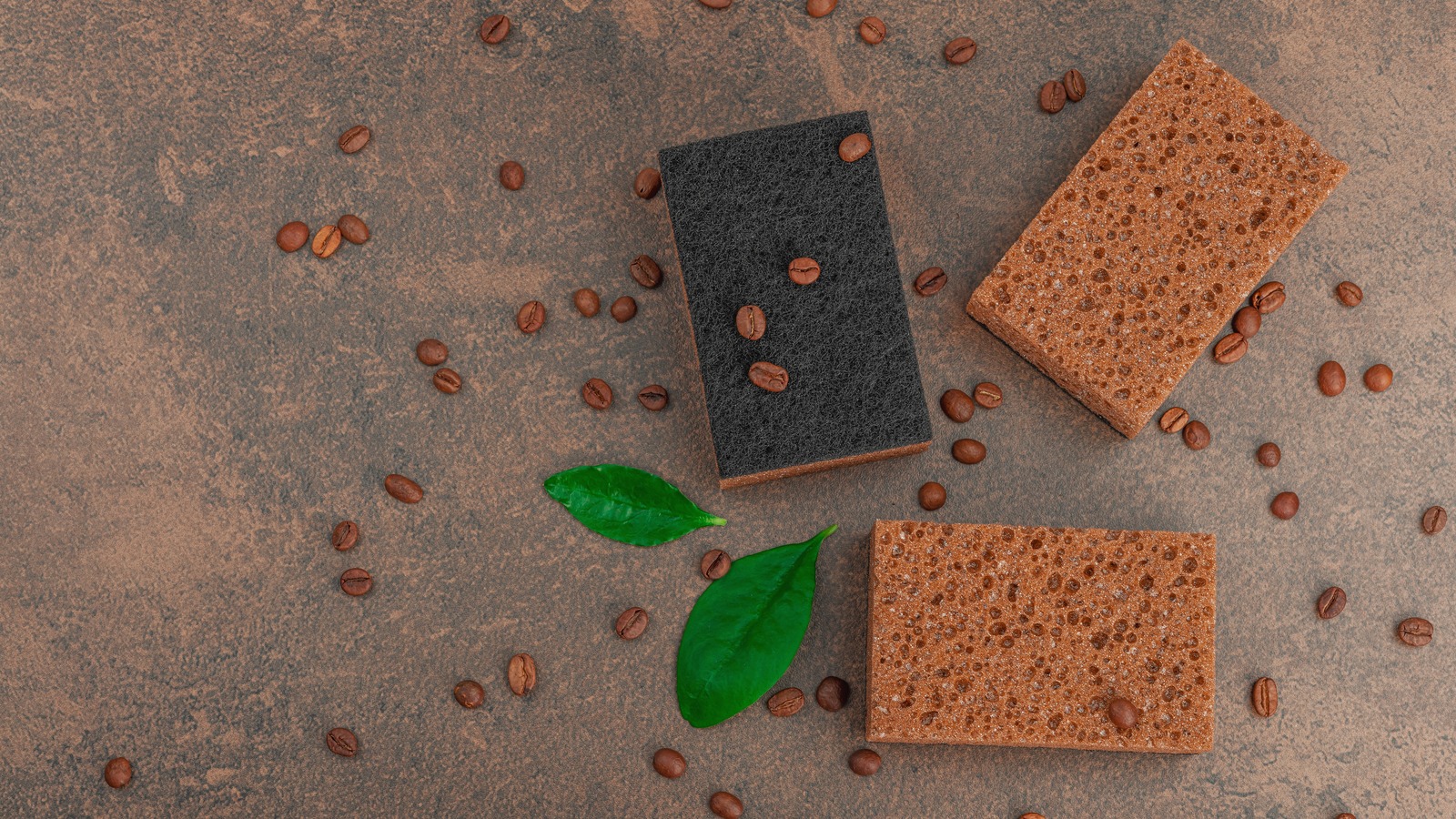 The Reason Gardeners Are Putting Kitchen Sponges In Flower Pots Before ...