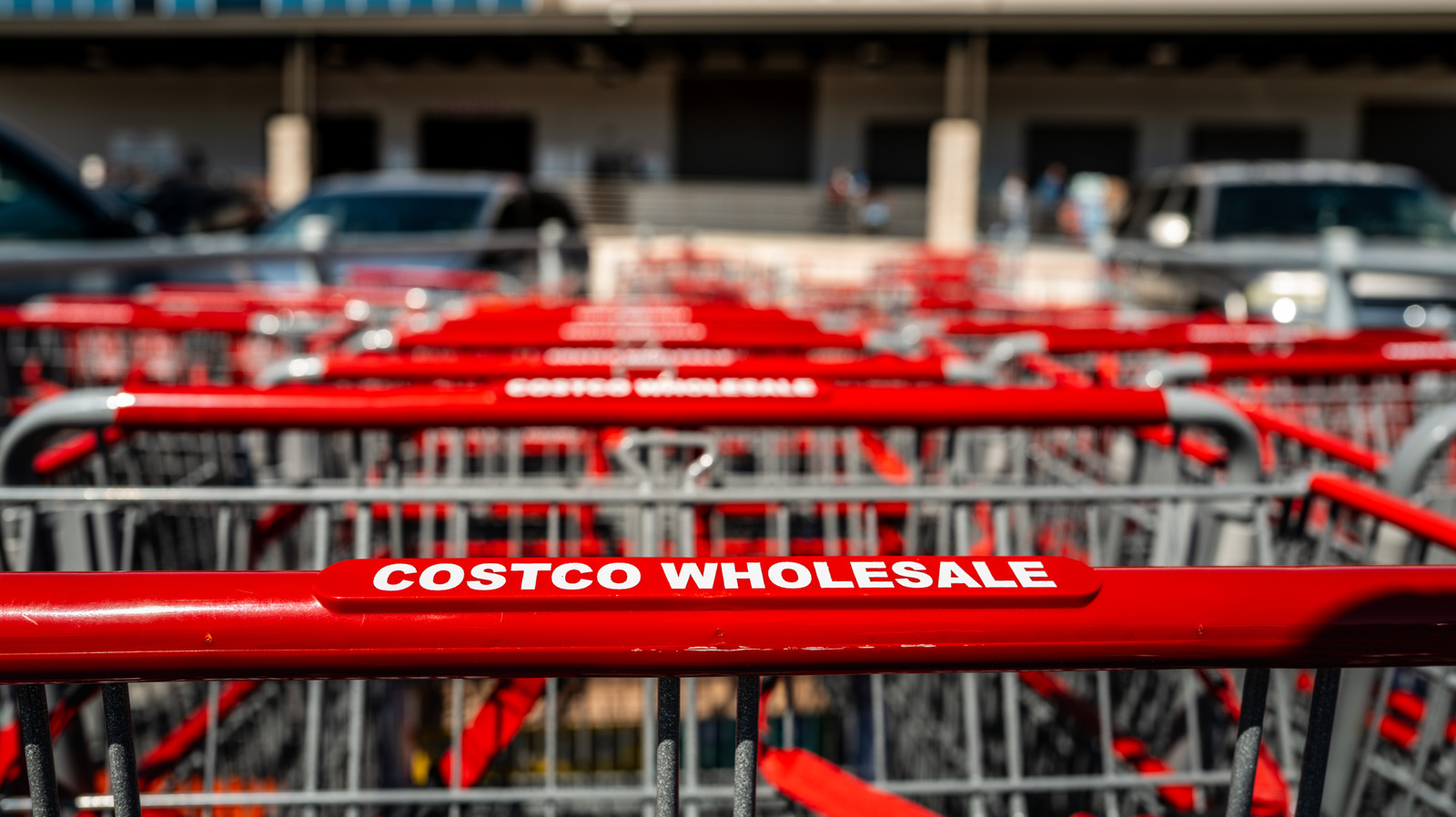The No-Salt Kirkland Seasoning Costco Shoppers Love