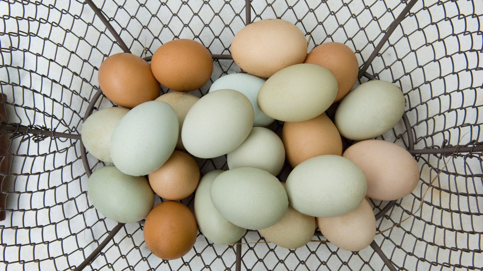 The Simple Way To Check If Your Eggs Are Old