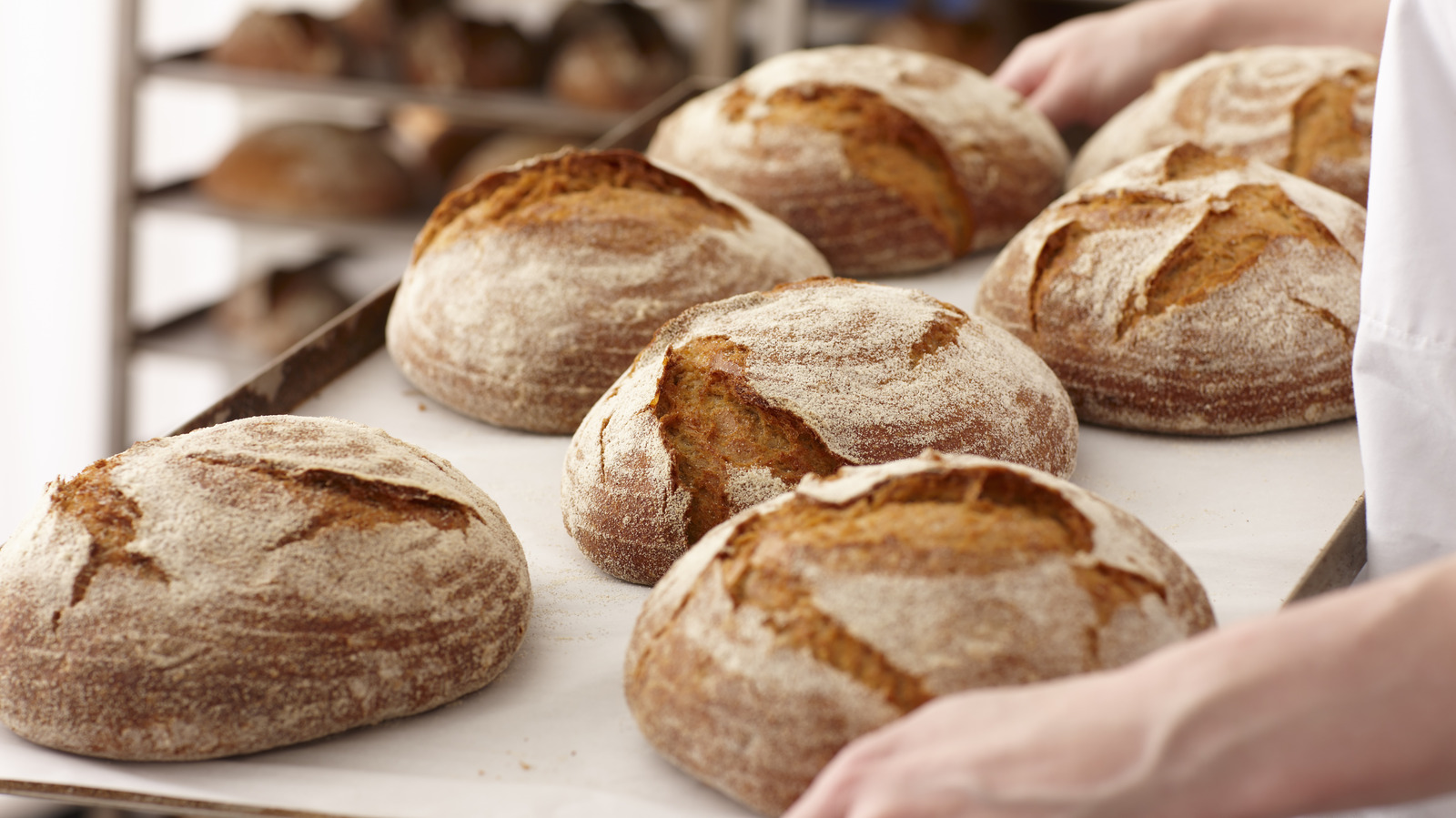 Yes, Publix's Bakery Makes Their Bread From Scratch