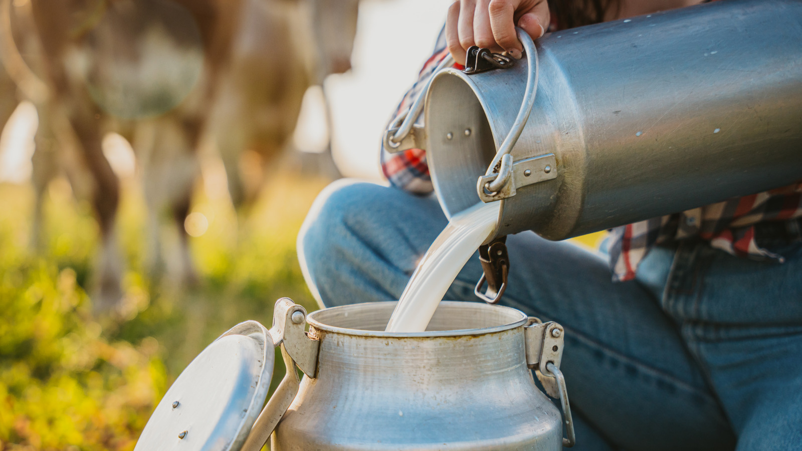 The Tuberculosis Risk Behind TikTok's Beloved Raw Milk