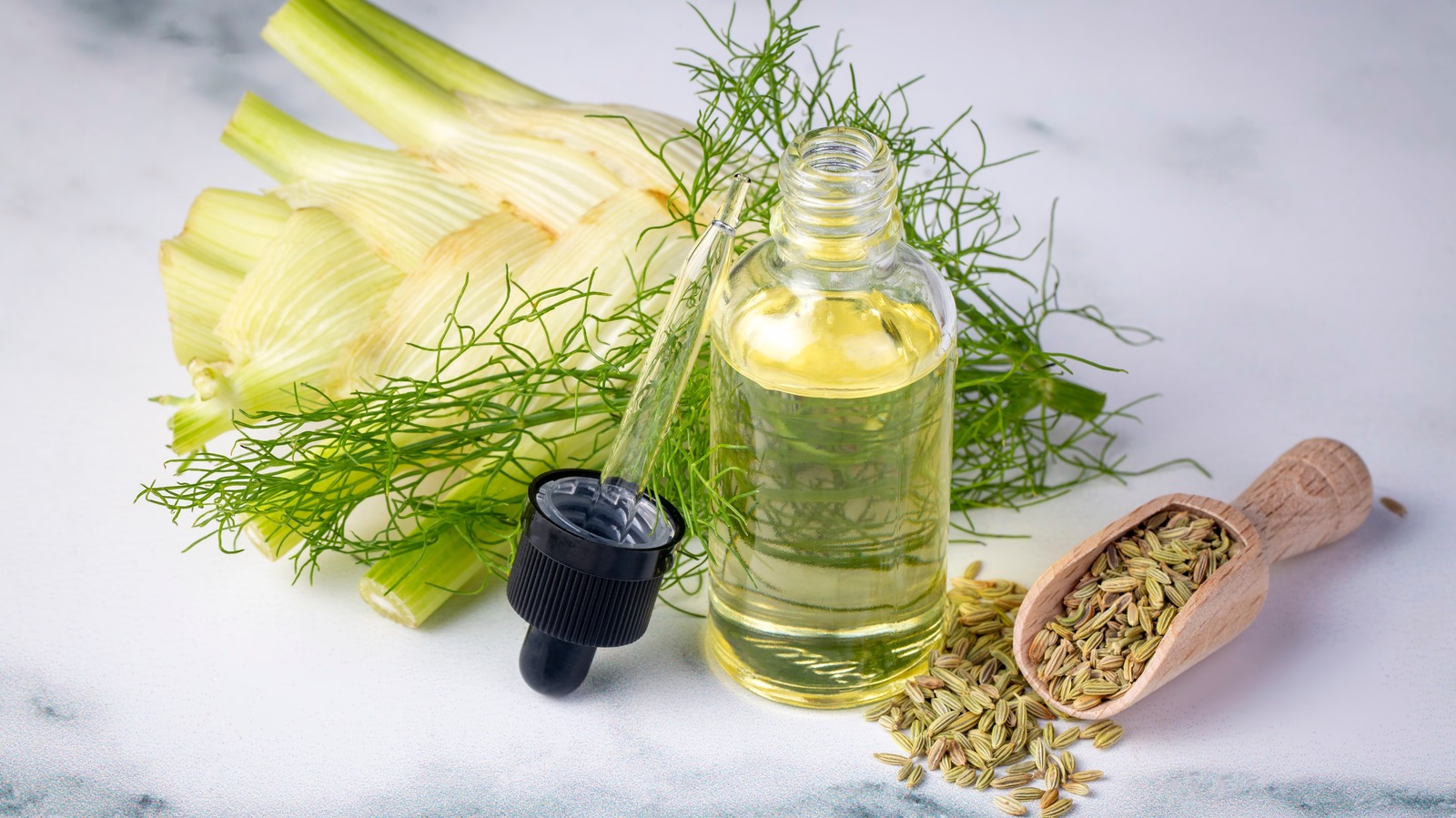 The Ultimate Guide To Fennel, From Fronds To Seeds