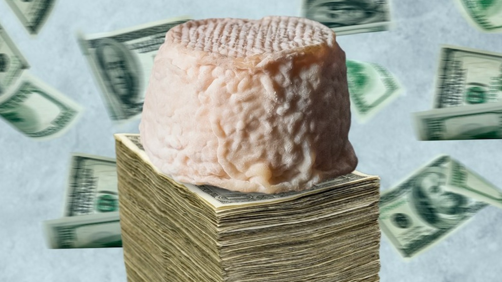 The World's Most Expensive Cheese Comes From An Unexpected Animal