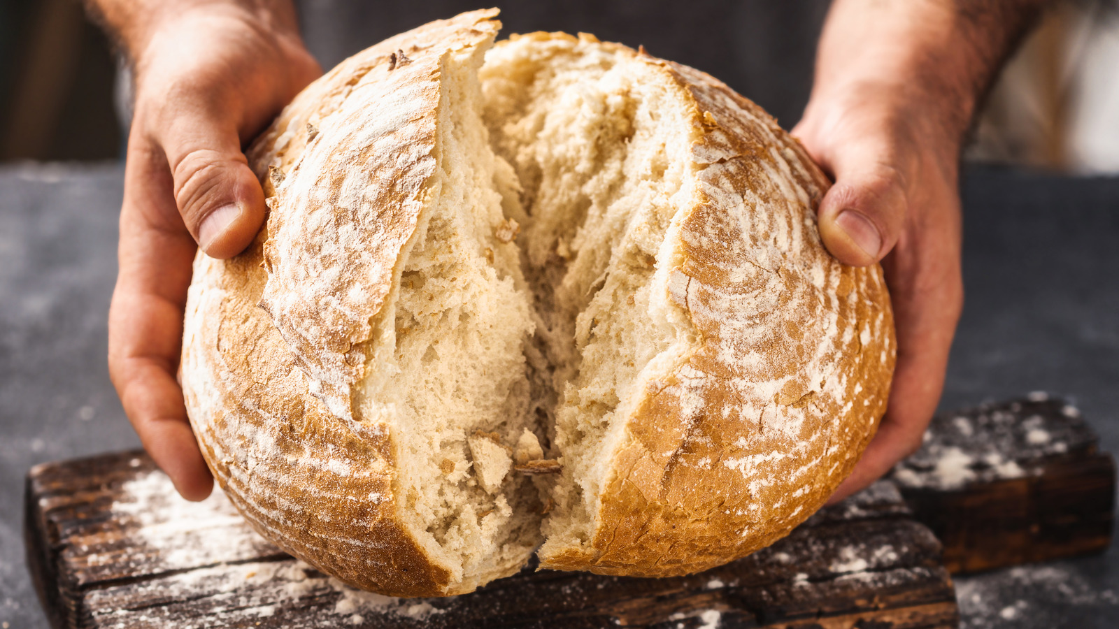 This Is The Best Place To Proof Bread In Your Kitchen