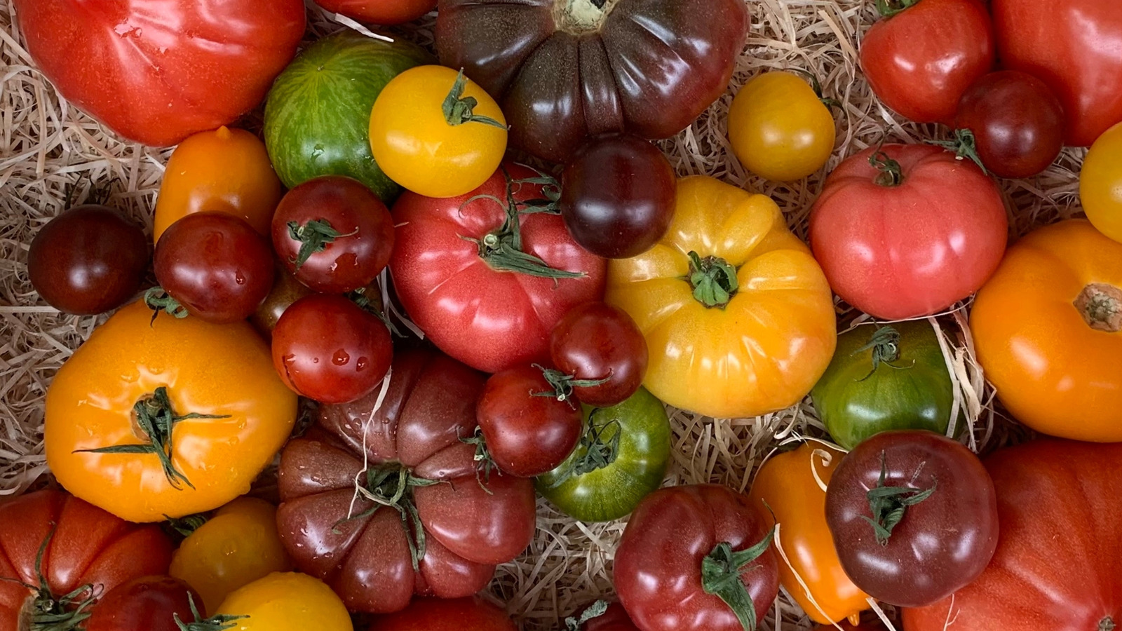 This Sought-After Heirloom Tomato Tastes Like Summer (And Looks Gorgeous)