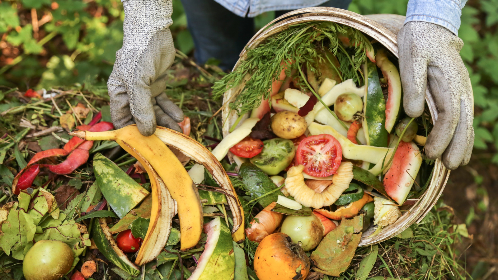 10 Useful Ways To Use Banana In Your Garden