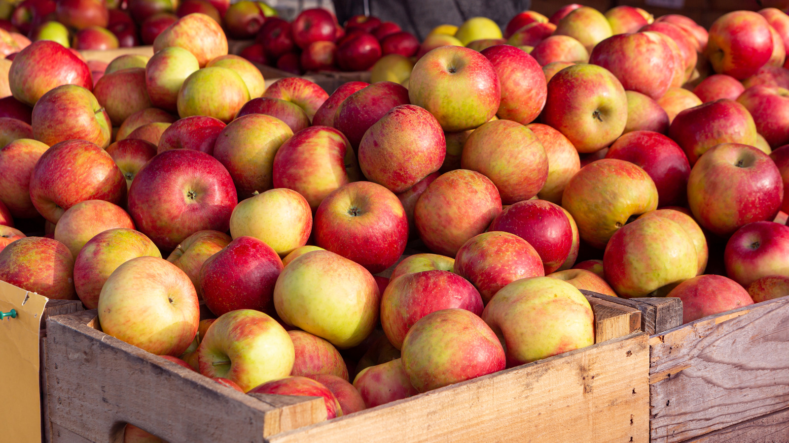 What Makes Honeycrisp And Cosmic Crisp Apples Different?