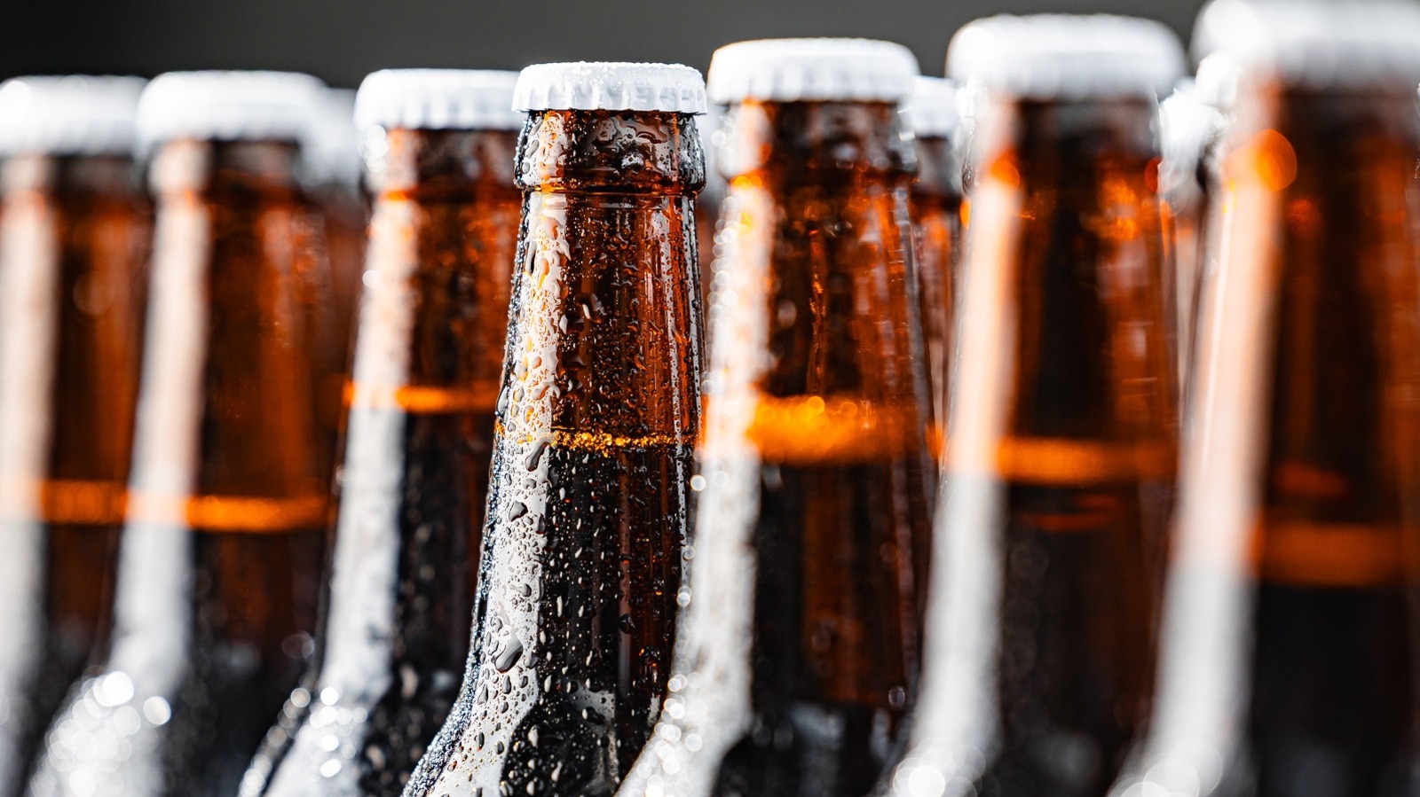 What To Look For To Buy The Freshest Bottled Beer Every Time