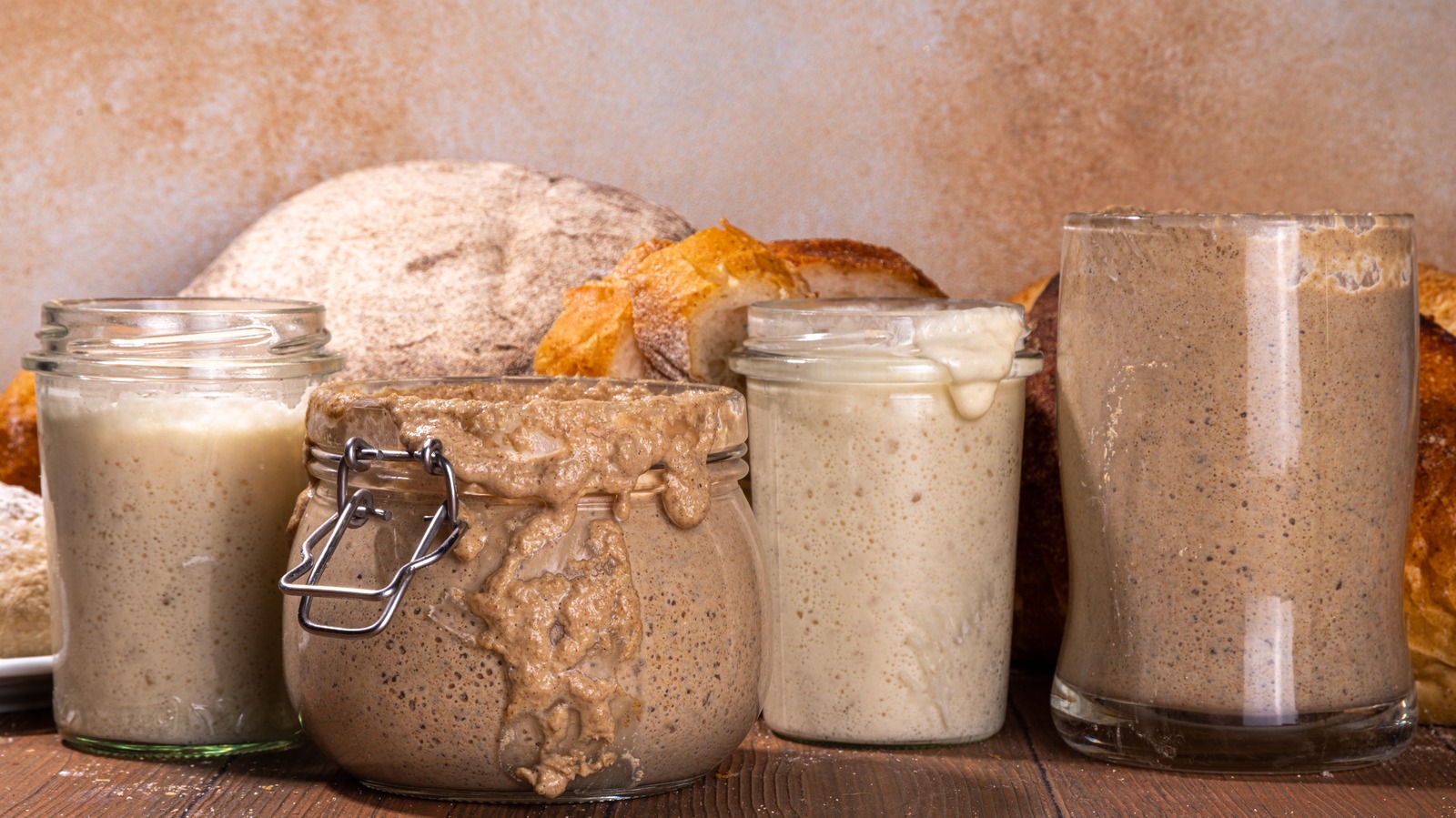 What's The Best Flour To Use For Your Sourdough Starter?