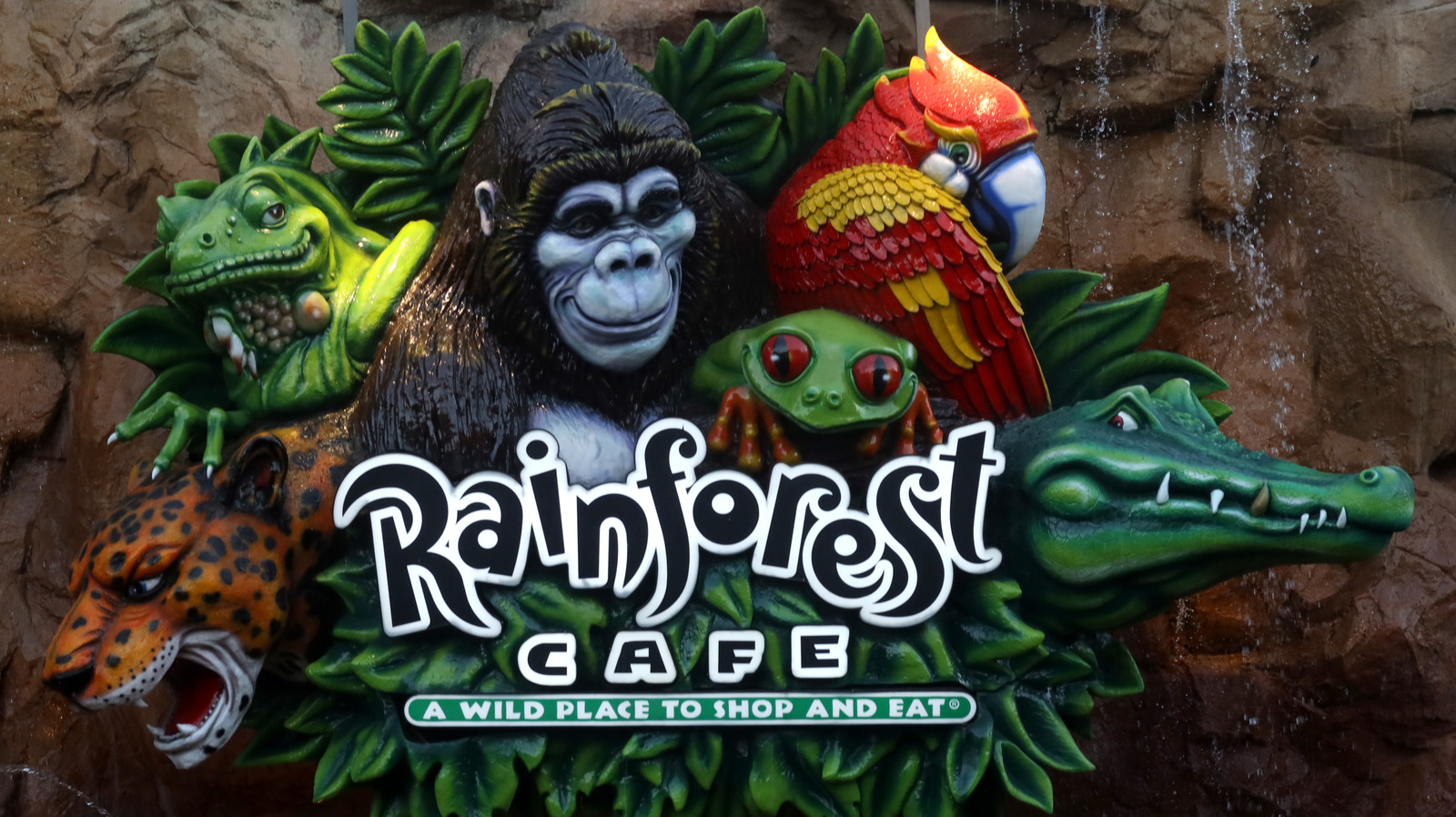 Where You Can Still Find Rainforest Cafes In The U.S.