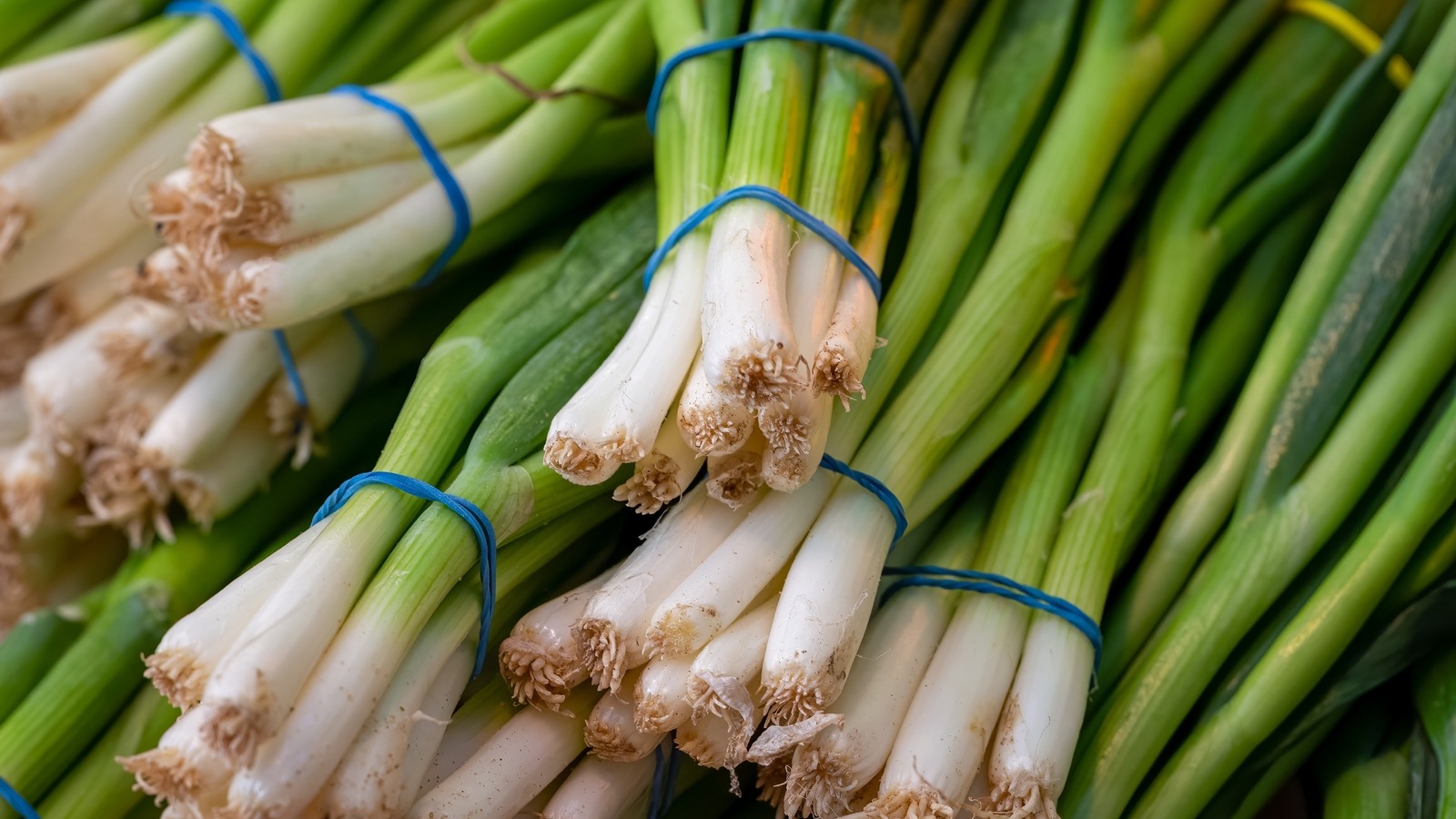 When To Use The White Vs Green Part Of Scallions When Cooking