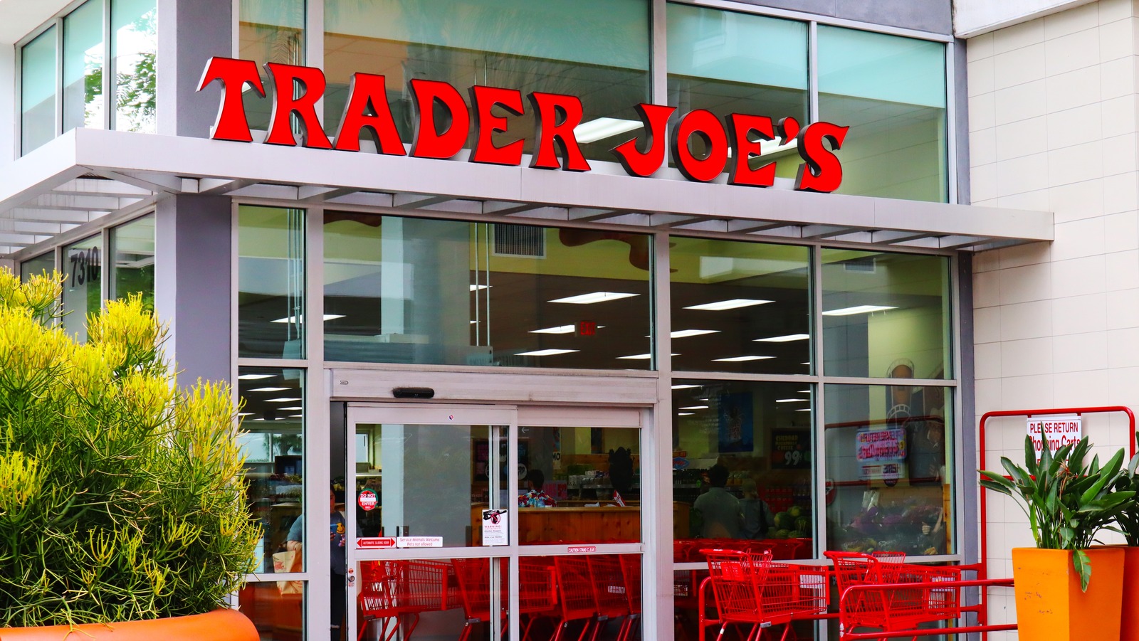 Why Exactly Does Trader Joe's Hide Stuffed Animals In The Aisle?