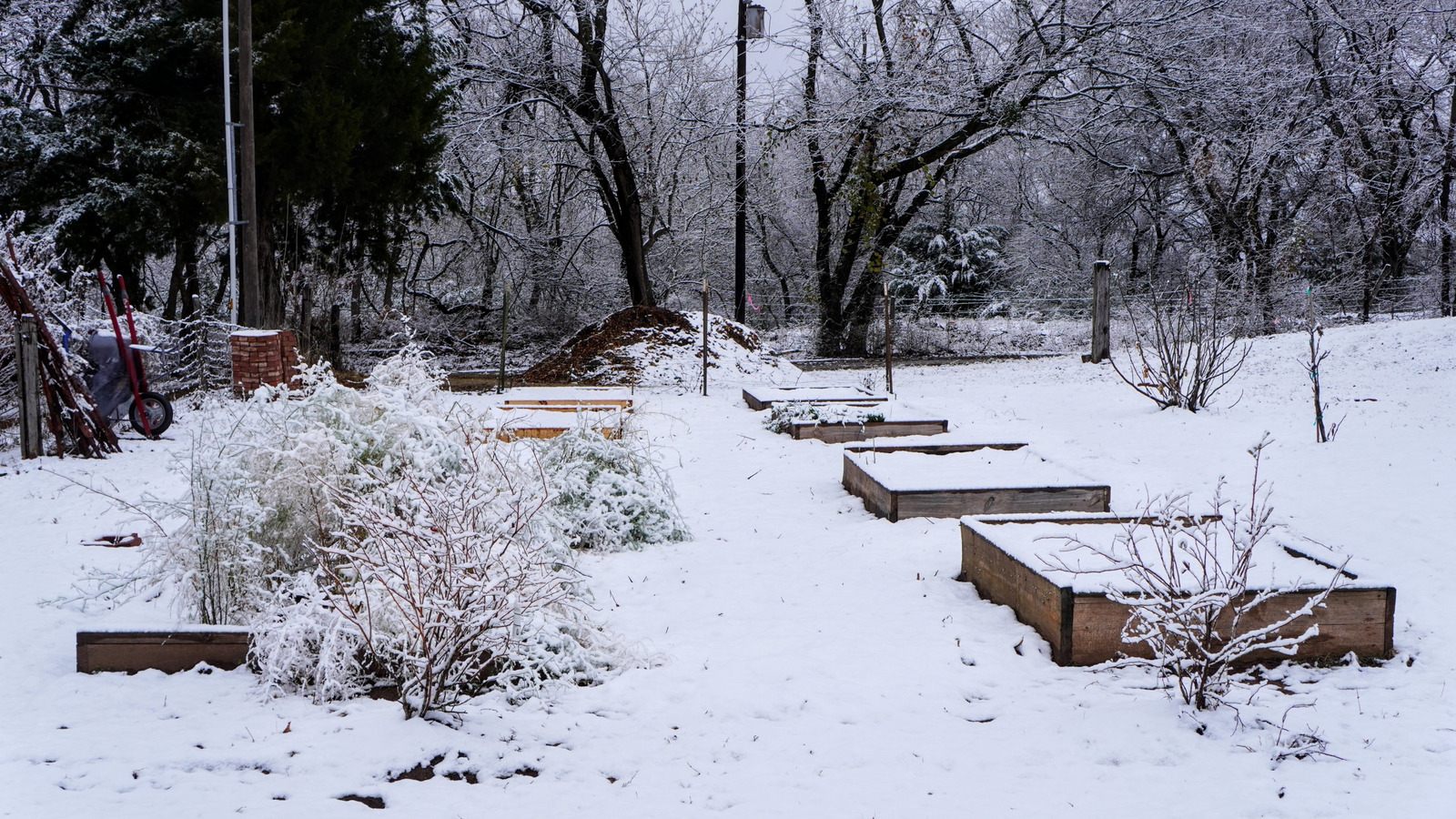 Why Mulch Is Essential For Gardens In The Fall And Winter