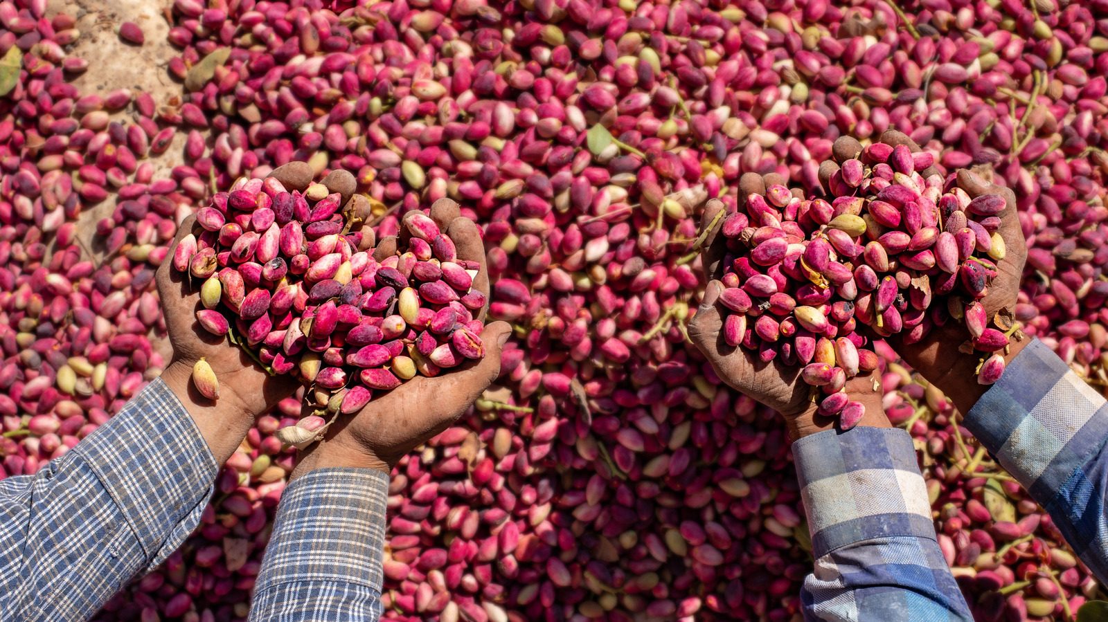 Why Were Pistachios Dyed Red? The Odd Reason You Never Knew