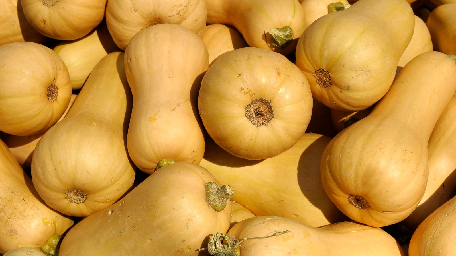 Why You Should Never Store Butternut Squash In The Fridge