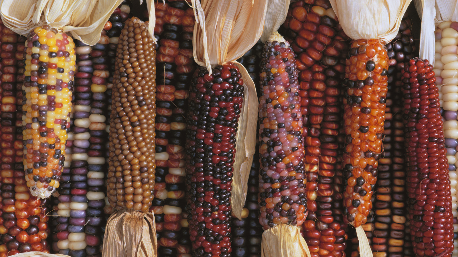Yes, Multicolored Corn Is Edible (But Here's What You Should Know First)